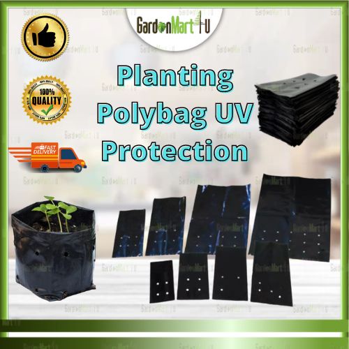 GM4U PolyBag Besar UV PolyBag Hitam Polibag Hitam Besar Nursery Plastic ...