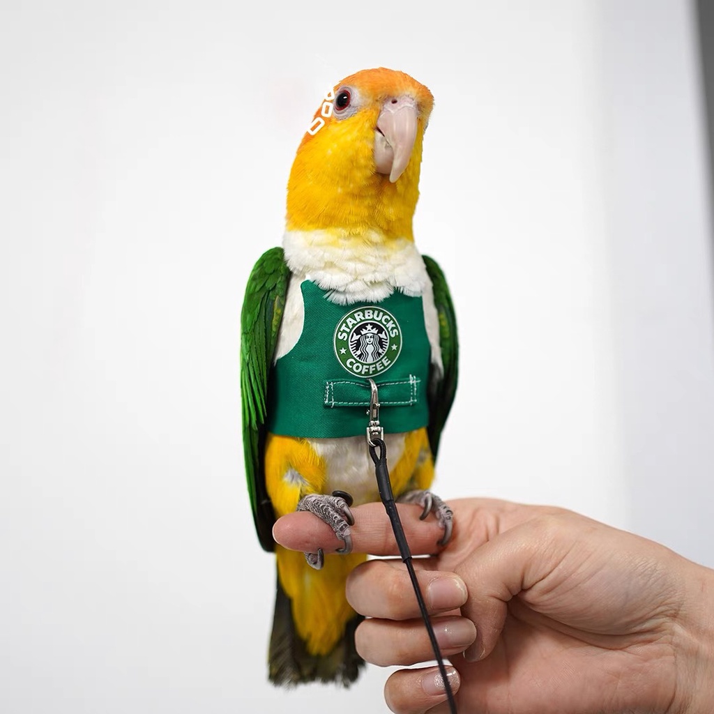 Bird Parrot Harness Ultra-Light Strap Vest out Traction Clothes to ...