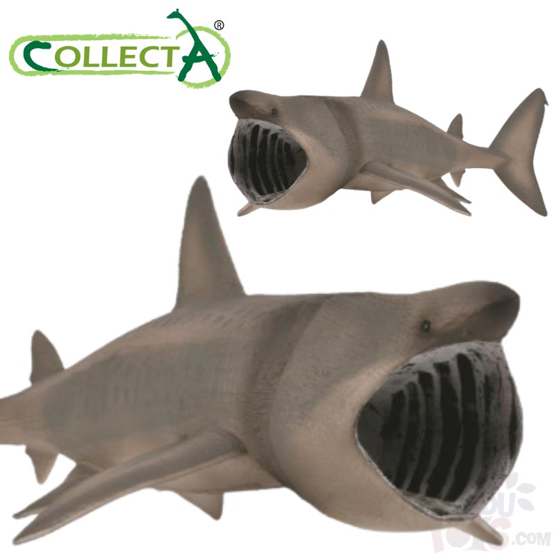 Basking Shark - Collecta 88914 Ocean Sea Life Animal Action Figures ...