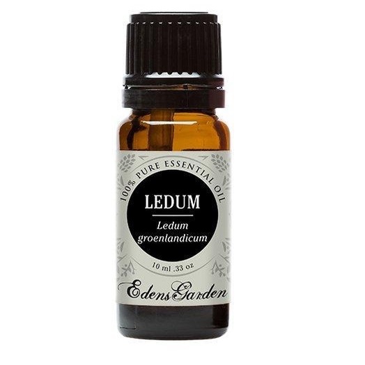 Edens Garden Ledum Essential Oil 8ml | Shopee Malaysia