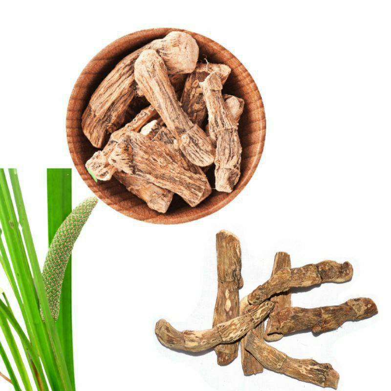 Spices - India Vasambu/Jerangau Putih Kering/Acorus Calamus/Sweet flag ...