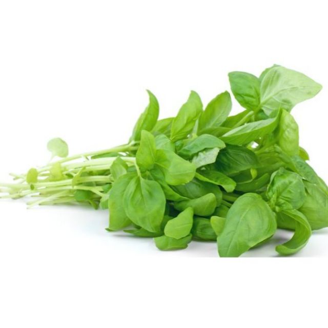 20g Bayam Hijau Green Spinach seeds biji benih | Shopee Malaysia