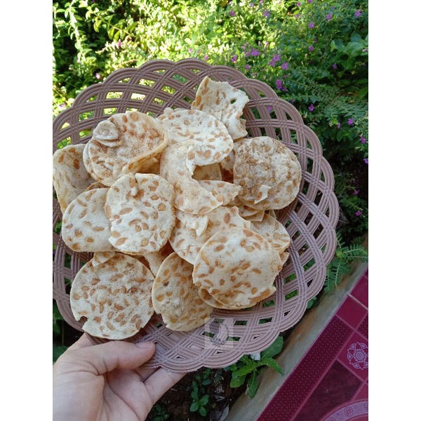 Banyumas LaelShop typical sago tempeh chips | Shopee Malaysia