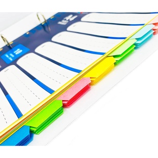 File A4 Index Divider Filing Separator Paper and Plastic 10 Colors / 5 ...
