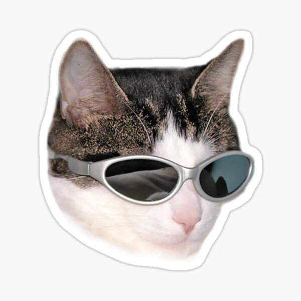 Cat Meme Stickers V1 Shopee Malaysia