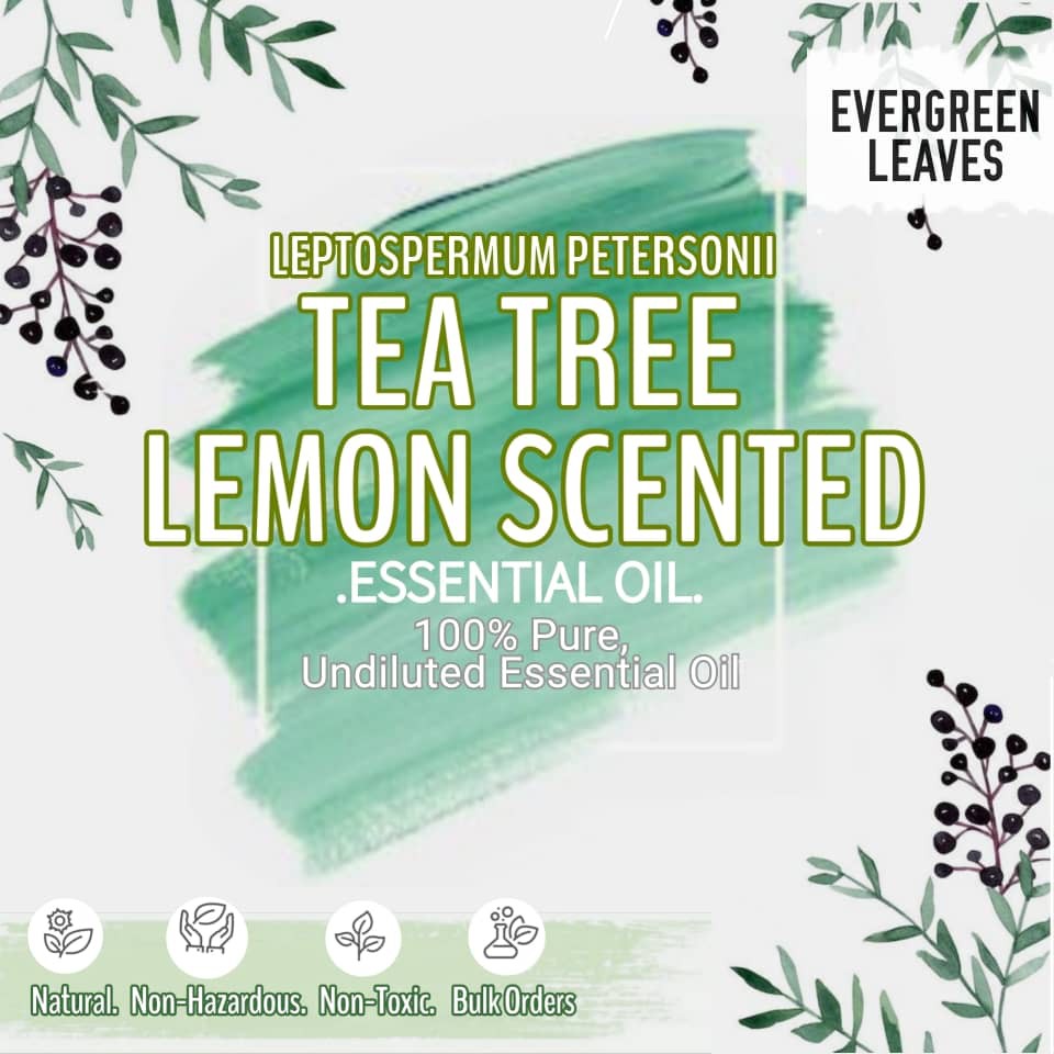 Tea Tree Lemon Scented Essential Oil 100%PURE and Nature (Ready Stock ...