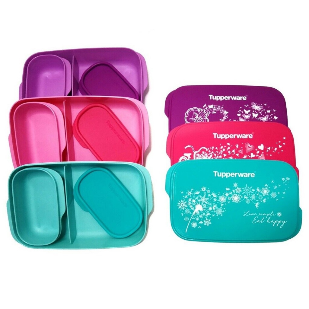 Tupperware FoodieBuddy Whimsical set (560ml Big Outside + 120ml Small ...