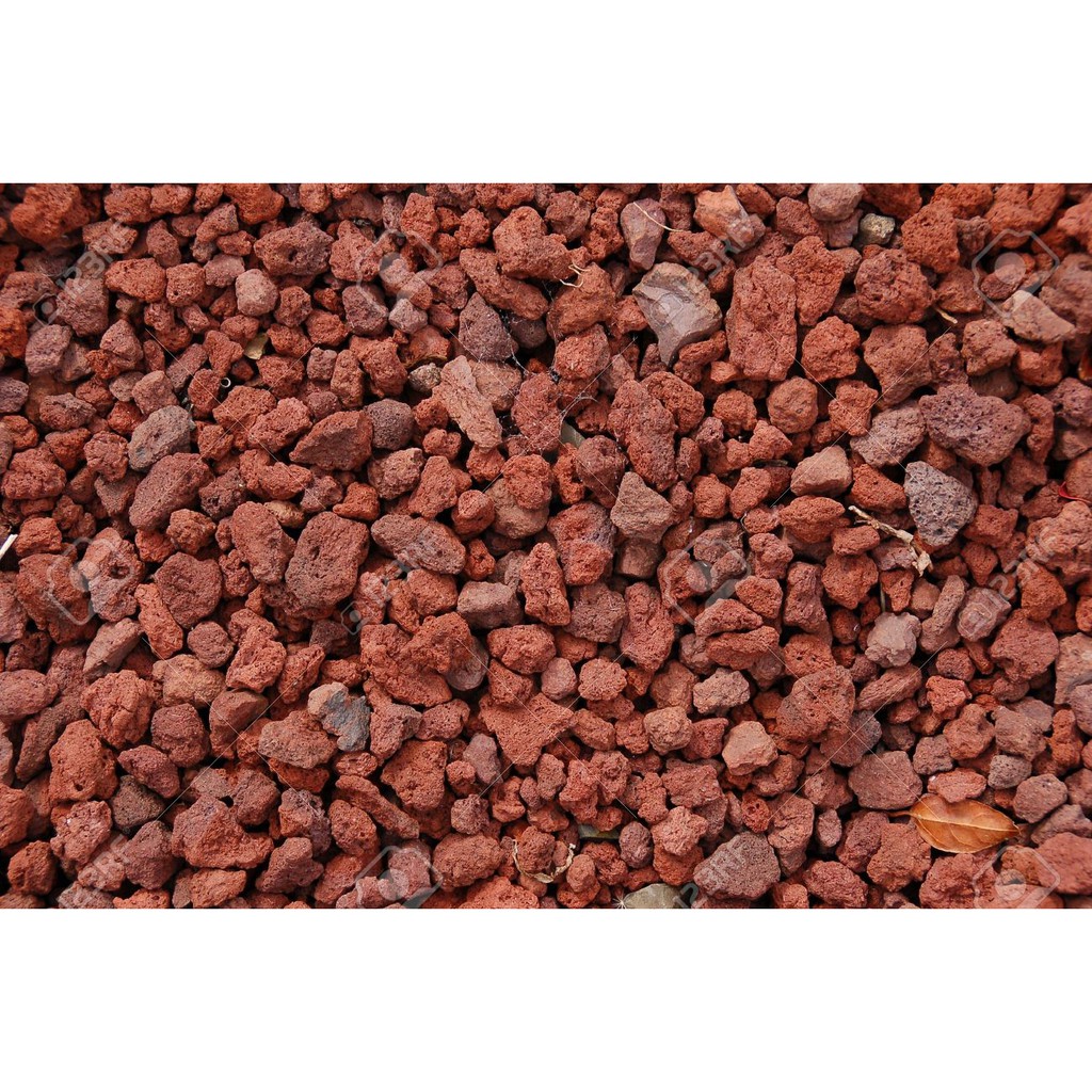 Small Red Lava Rock for Orchids (1 kg) | Shopee Malaysia