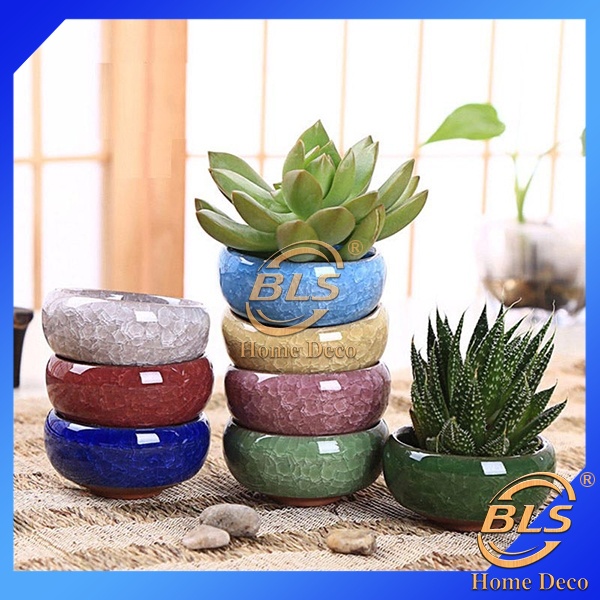 Ice-Crack Texture Glaze Ceramic Pot Succulent Cactus Flower Pot / Pasu ...