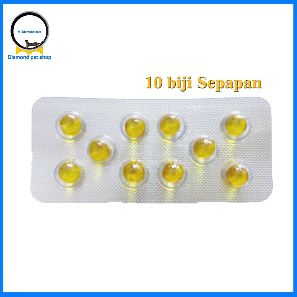 Ubat Batu Karang kucing / Urine Stone / Lawas Kencing - 10 Biji ...