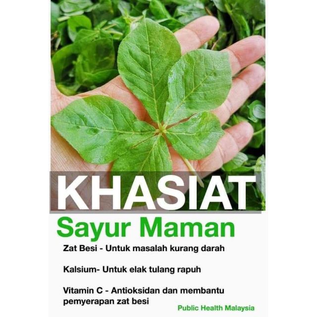 Benih maman original gemencheh 2gram | Shopee Malaysia