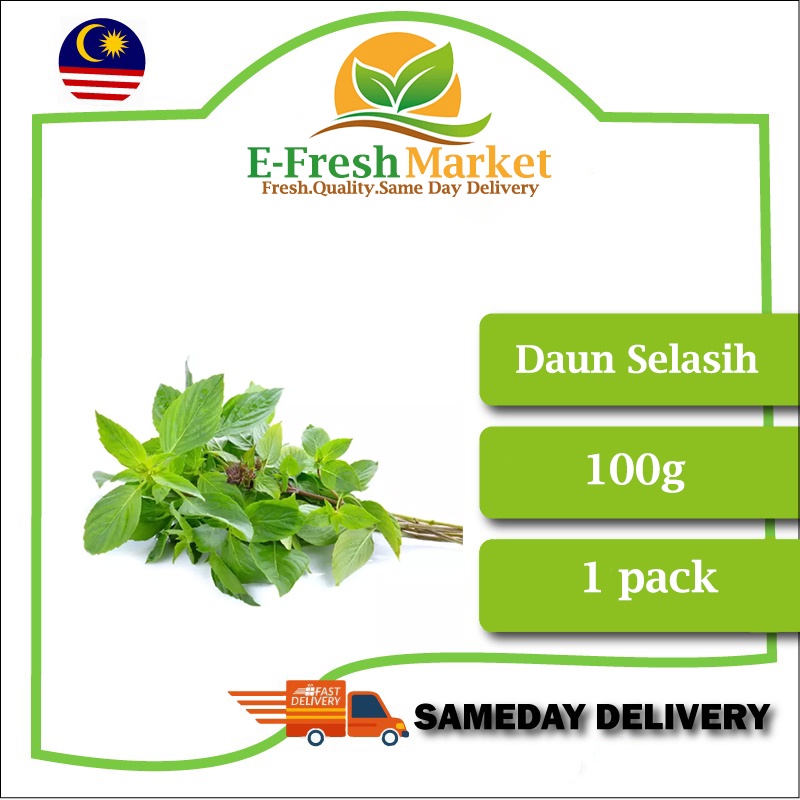 🔥Lowest Price🔥Fresh Vegetable Thai Holy Basil Leaves / Daun Selasih 九层塔 ...