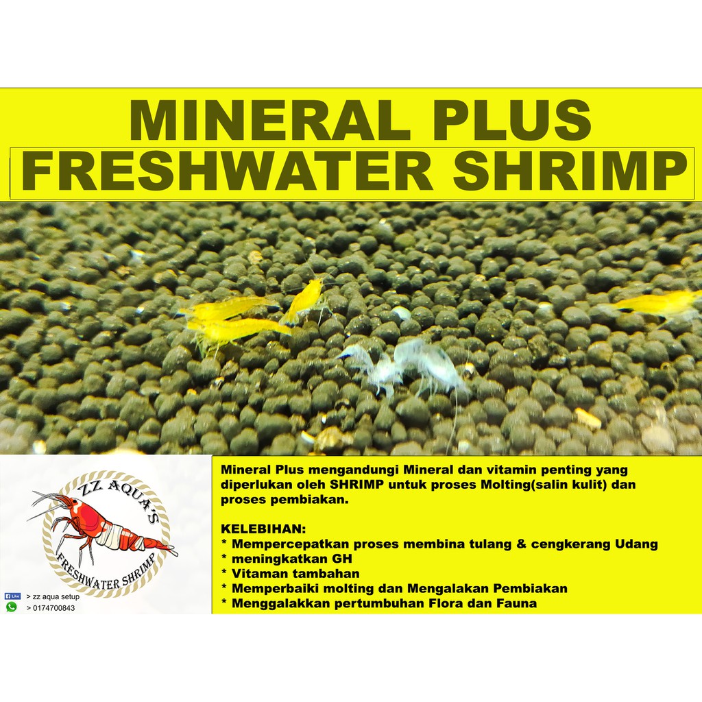 MINERAL PLUS🔥100g🔥MOLTING+BREED FRESHWATER SHRIMP | Shopee Malaysia