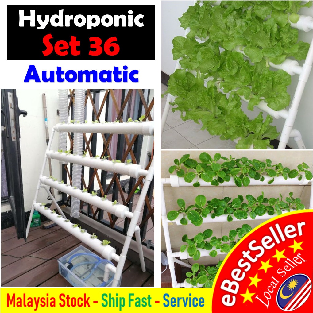 Auto Hydroponic Hydroponics Set Hidroponik 36 Lubang + pam air 36 Holes ...