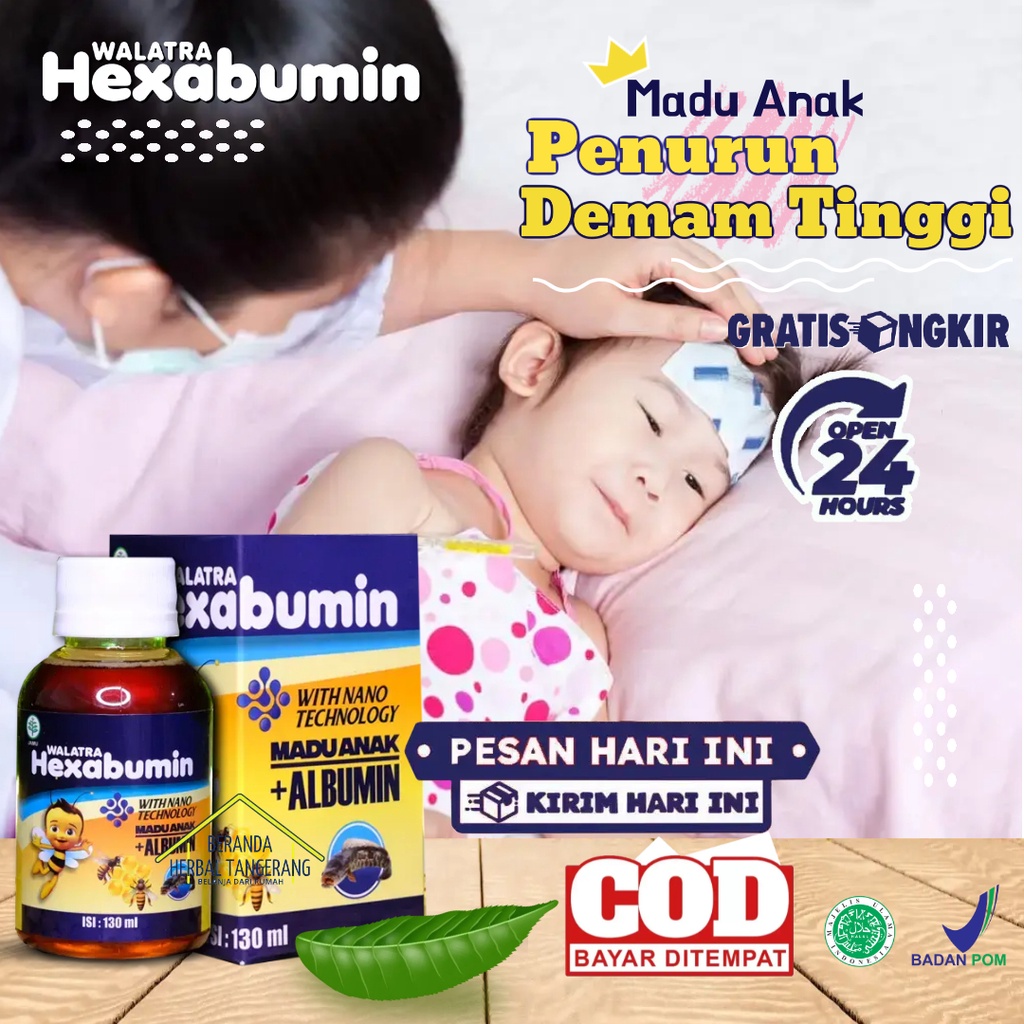 Walatra HEXABUMIN - Worm Typhus Medicine, Hot and Cold Body, Typhoid ...