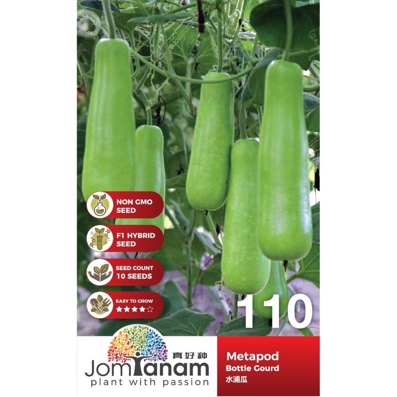 🔥🔥BIG SLAES🔥🔥 Bottle Gourd Metapod （10sds）水蒲瓜 Jom Tanam by Crop Power ...
