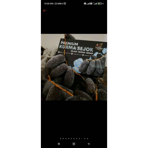 KURMA SEJOK PREMIUM 500GM 100% SEDAP & LAZAT(KURMA SEGAR FROZEN ...