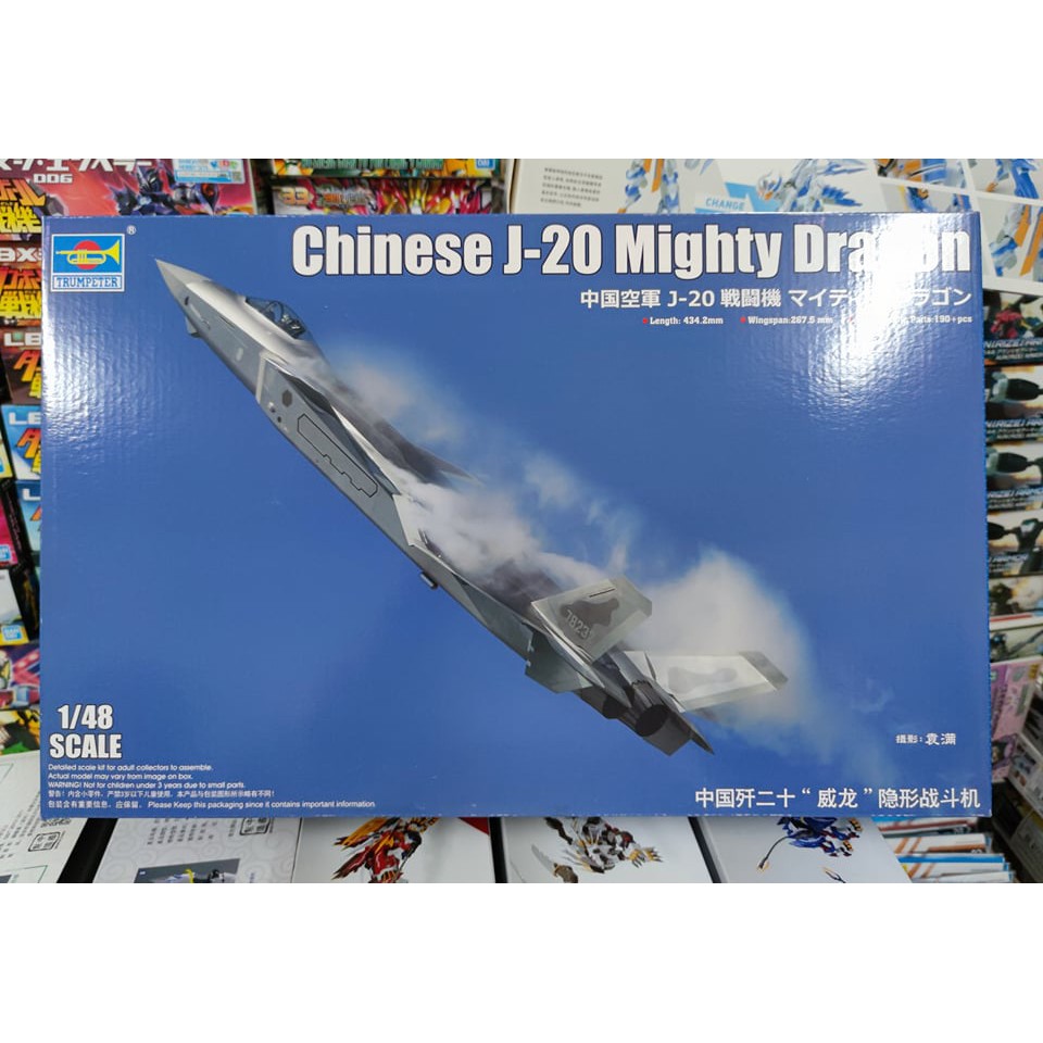 Trumpeter 1/48 Chinese J-20 Mighty Dragon Stealth Fighter (05811 ...