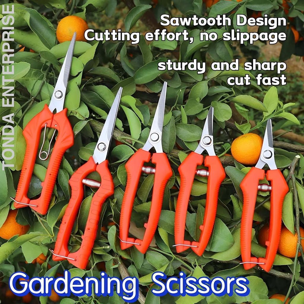 Gardening Scissors / Special Serrated Shears / Grape Pruning Shear ...