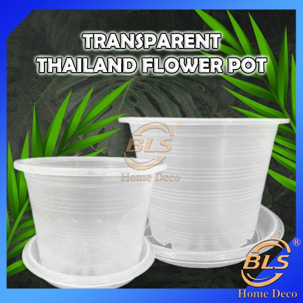 Transparent Thailand Flower Pot With Saucer Striped Design Gardening ...