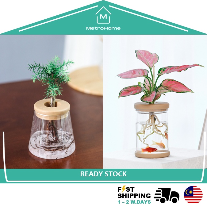 Imitated Transparent Self Watering Pot Hydroponic Pot Auto Watering ...