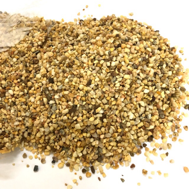 Natural Aquarium Sand 1KG for fish tank | Shopee Malaysia