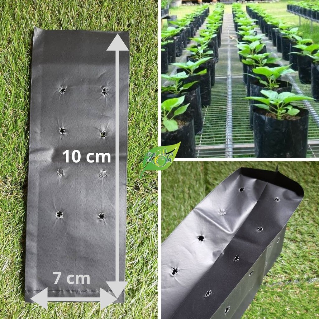 ( 500gm @ 1 kg ) Black UV Polybag Fertigasi Polibag Nursery Plantation ...