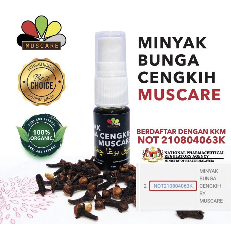 Minyak Cengkih Muscare.Batuk / Ubat Sakit Gigi / lancar pernafasan ...