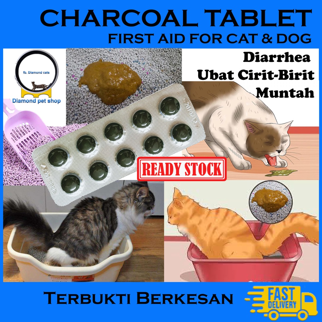 Ubat Cirit Birit Muntah Keracunan Diarrhea Kucing Anjing (1 Biji ...