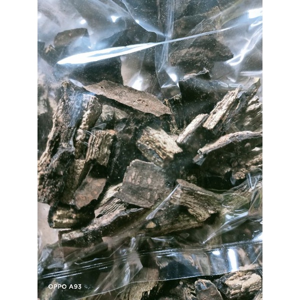 kuping besi atau sakang seribu 💯 dijamin asli | Shopee Malaysia