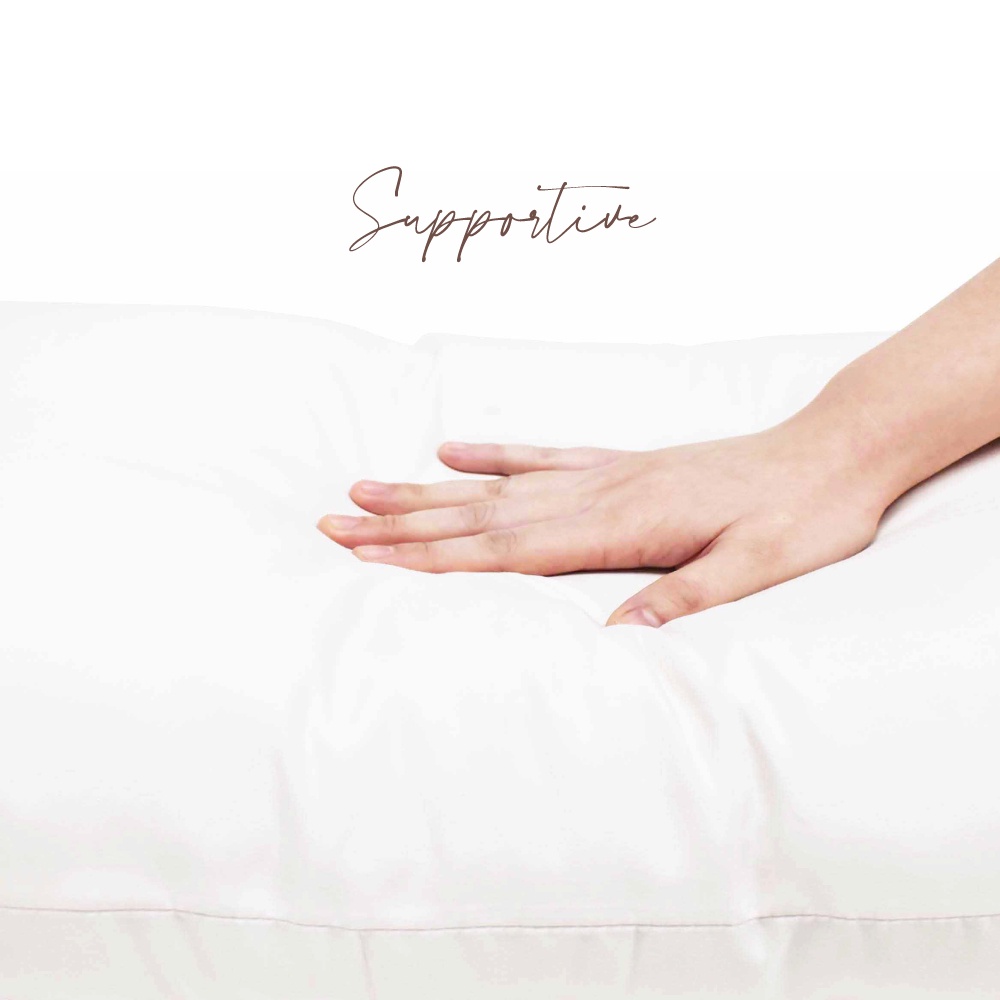 WINNY Twin Pack Cotton Pillow 2 pcs 100% Cotton | 46 x 71 cm ...