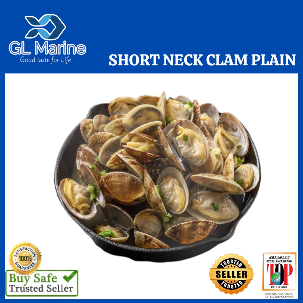 ASARI CLAM 33/40 Short Neck Clam | Lala Kepah | 冷藏花蛤啦啦 | Shopee Malaysia