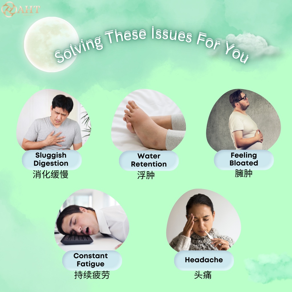 AHT Dampness Removing Flower Tea (10 sachets) 安辉堂 祛湿茶 养生花茶 花茶包 养生茶 天然花茶 ...