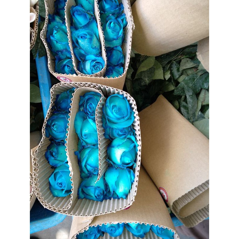 🌹Ready Stock 🌹 Roses 🌹20stalks🌹 Fresh Flower From Cameron Highlands 🌹🌹 ...