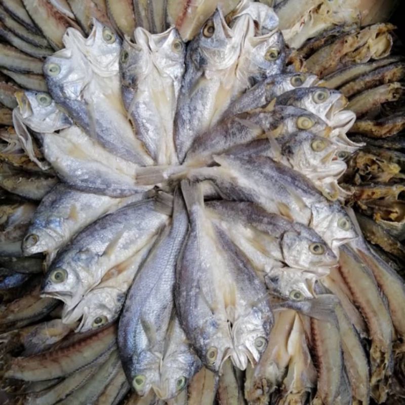 🔥 IKAN KERING GELAMA BELAH SEDAP🔥 | Shopee Malaysia