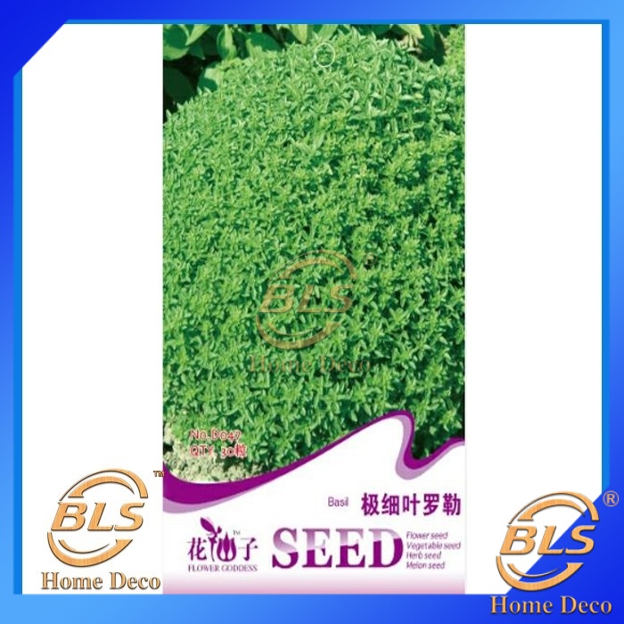 【EXPIRED】D047 BASIL FLOWER GODDESS VEGETABLE FLOWER FRUIT HERB SEED ...