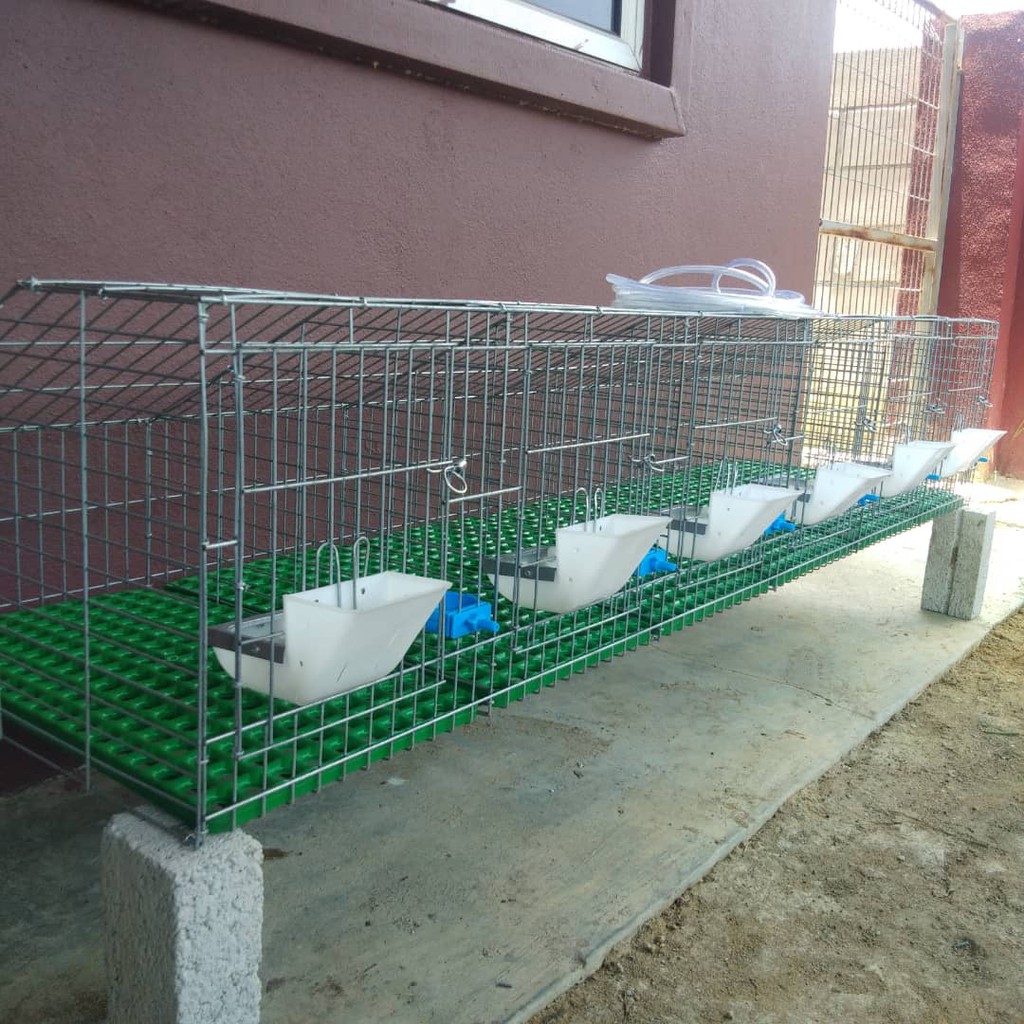 READY STOCK!! Sangkar Arnab HIGH QUALITY 4&6 Pintu/ Rabbit cage (besi ...