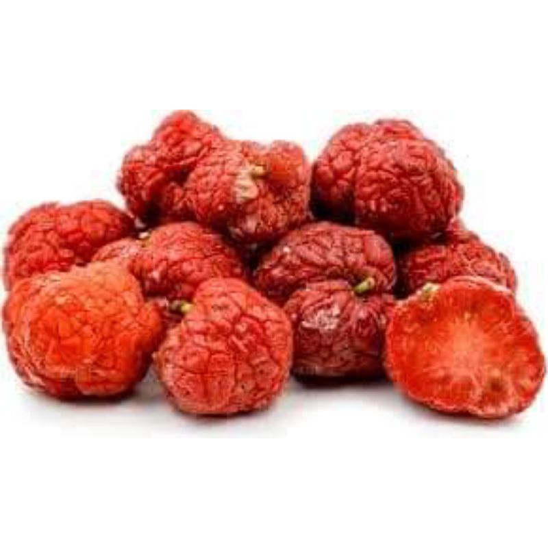 Anak pokok Chines mulberry / chee fruits | Shopee Malaysia