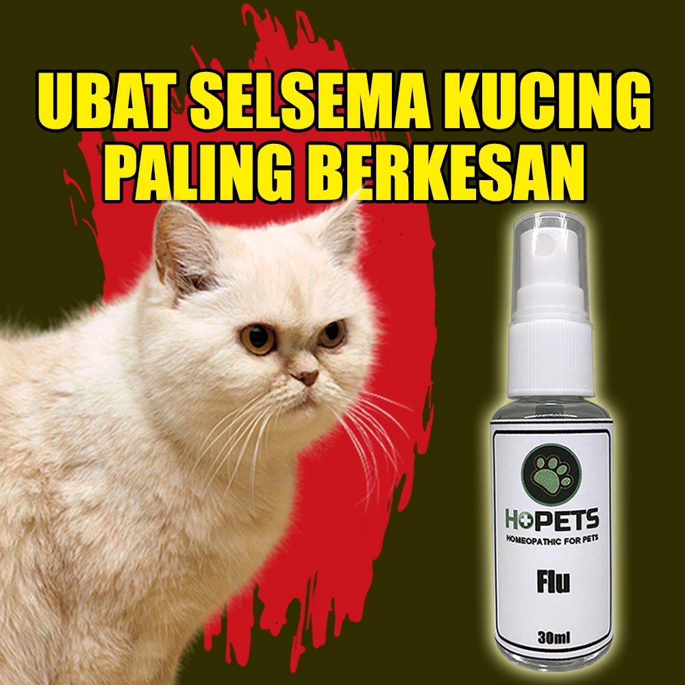 Ubat Selsema Kucing - Ubat Selsema Kucing Spray Homeopathy 30ml ...