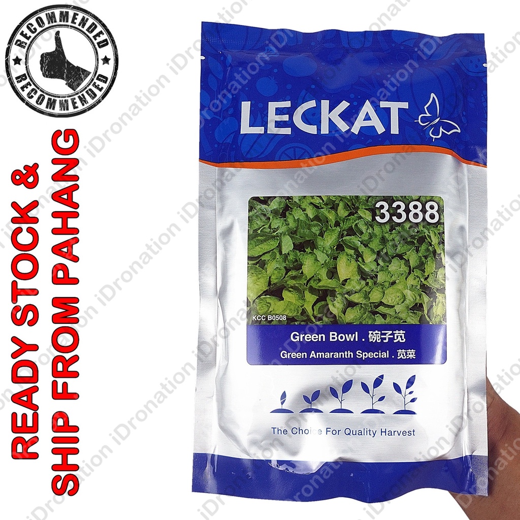 Leckat 3388 Seed Seeds Biji Benih Sayur Vegetable 100G 500G Bayam Hijau ...