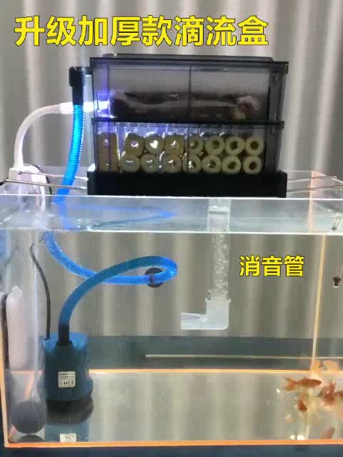 Sobo F-30 (1 feet) Trickle Drip Filter Box 2 Layers 30cm Aquarium Top ...