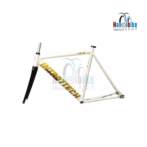 Introtech carbon FS 01 Fixed Gear Bicycle Frame | Shopee Malaysia