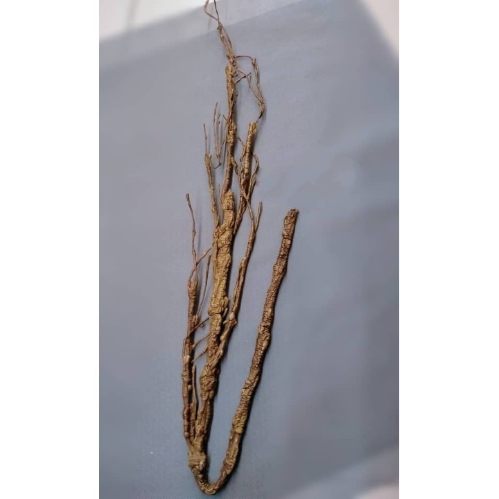 RANTING KAYU DAWAI/AKAR PLASTIC/ARTIFICIAL AKAR ORKID/ARTIFICIAL SALIX ...
