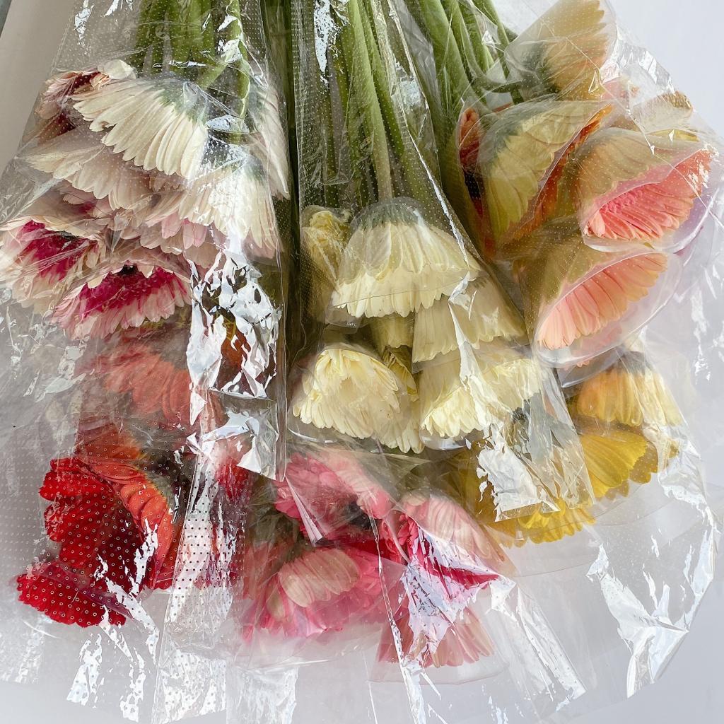 READY STOCK [1 pack] Fresh Daisy Fresh Flower Bunga Daisy Bunga Segar ...