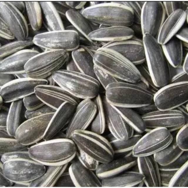 Kuaci Rebo (re-pack) | Shopee Malaysia