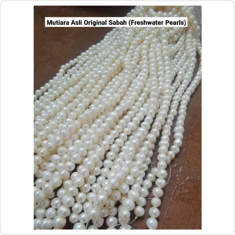 Mutiara Asli Air Tawar & Mutiara Asli Air Masin (Freshwater Pearls ...
