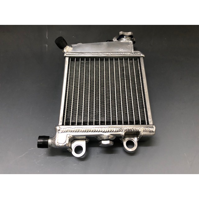 SARD® RACING RADIATOR YAMAHA LC135 Y15ZR FZ150i EGO YZF-R25 NOUVO N-MAX ...