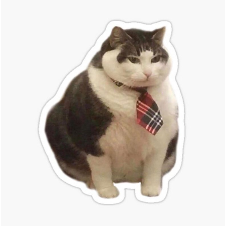 Funny Cat meme sticker for journal (Laminated) | Shopee Malaysia