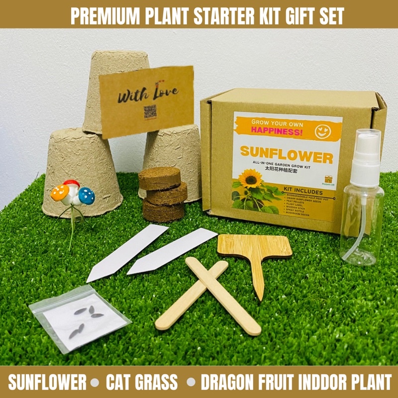 Dwarf Sunflower All-In-One Garden Grow Kit Premium Gift Box Plant ...