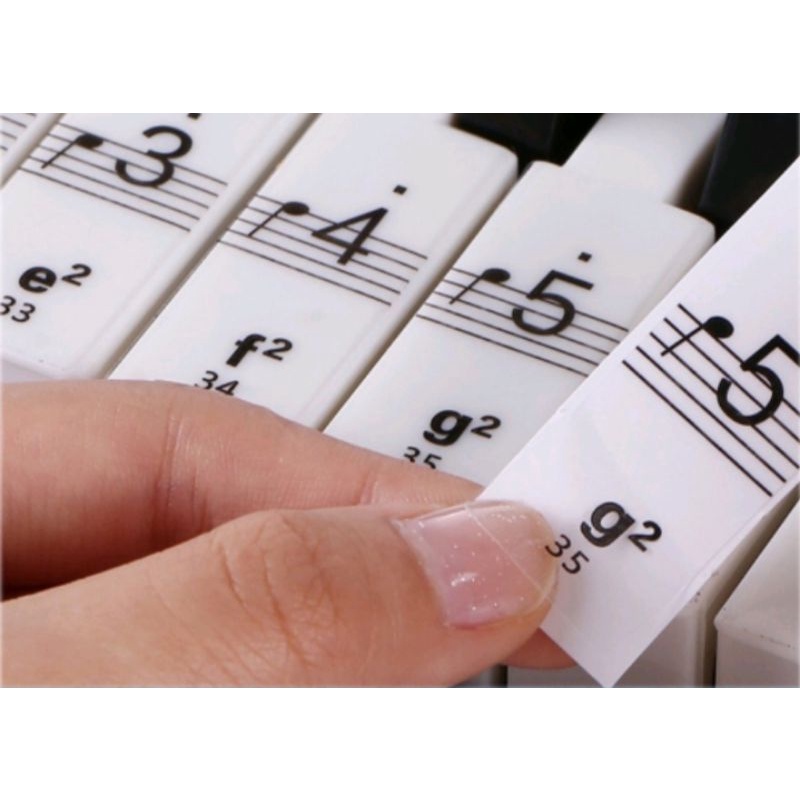 Keyboard Piano Sticker Beginner Piano Removable Piano Stickers 37 / 49 ...